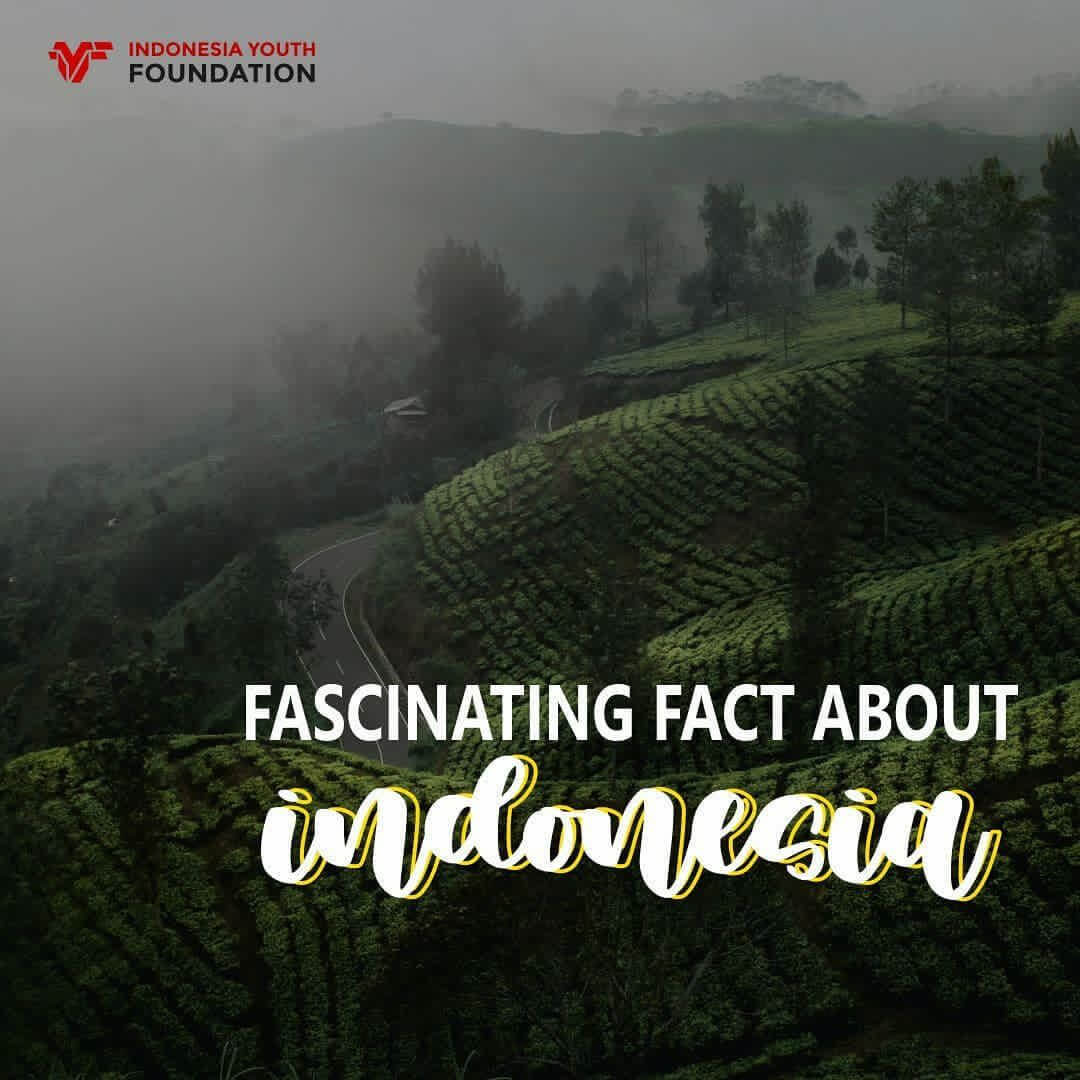 Fascinating Facts About Indonesia - Indonesia Youth Foundation